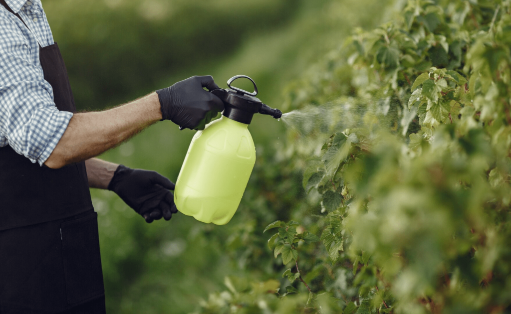 Gestión Integrada de Plagas - Soluciones Efectivas - García Les
